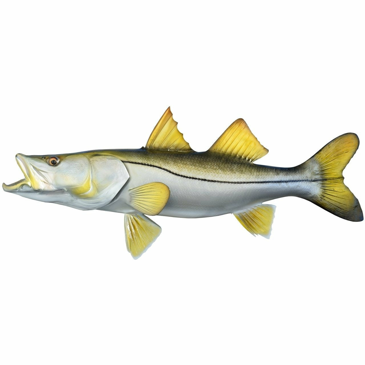 Snook Mount – 843 Flies